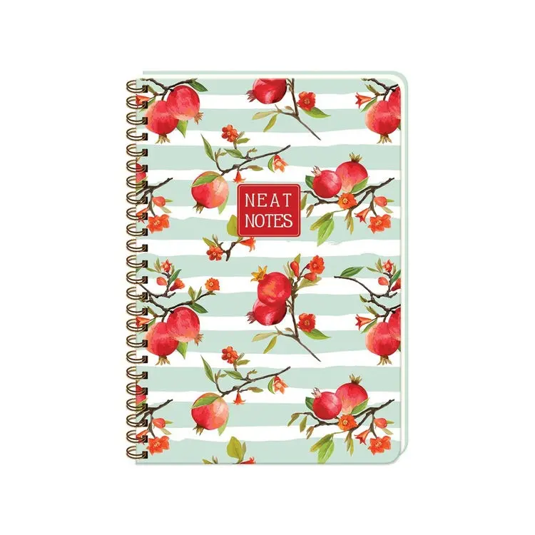 Keskin Color Neat Notes 17x24 Spiralli Defter 100 yp Çizgili Fruit ...